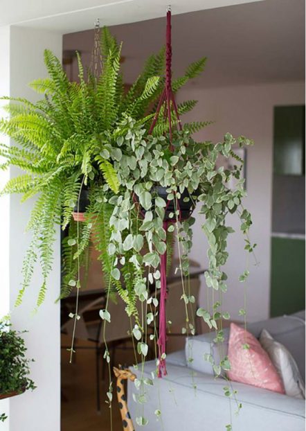 Como Fazer um Jardim em Casa: Dicas e 36 Ideias para Copiar | Revista ...