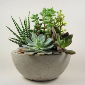 Como Fazer um Mini Jardim: Dicas Práticas + 26 Inspirações | Revista ...