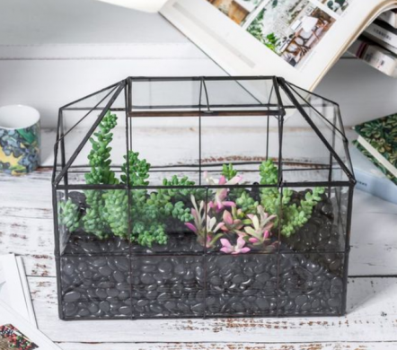 Como Fazer um Mini Jardim: Dicas Práticas + 26 Inspirações | Revista ...