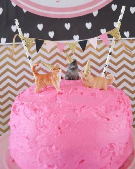 Aniversário de Gato: 37 Ideias Incríveis de Decoração | Revista Artesanato